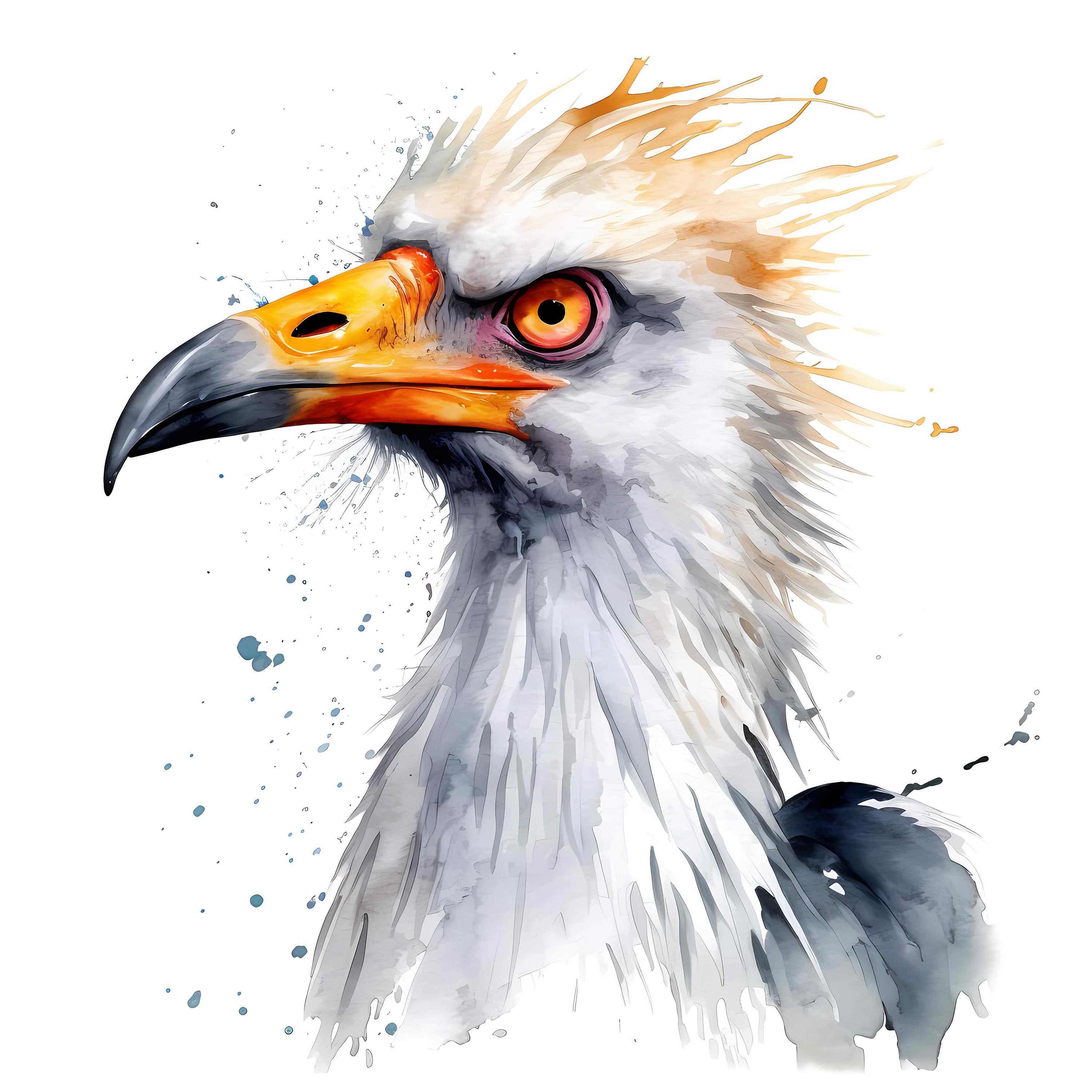 Secretary Bird Clipart Watercolor Beautiful Secretarybird - Etsy