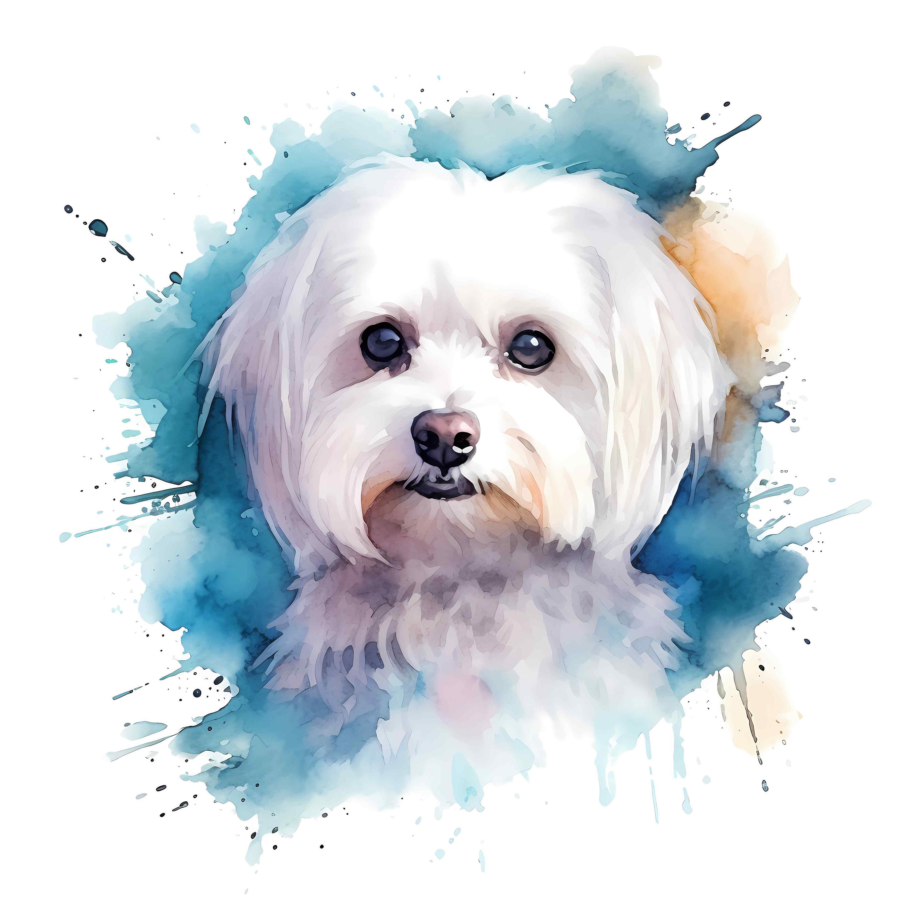 Darling Maltese Dog Clip Art Watercolor Dog Face Clipart - Etsy