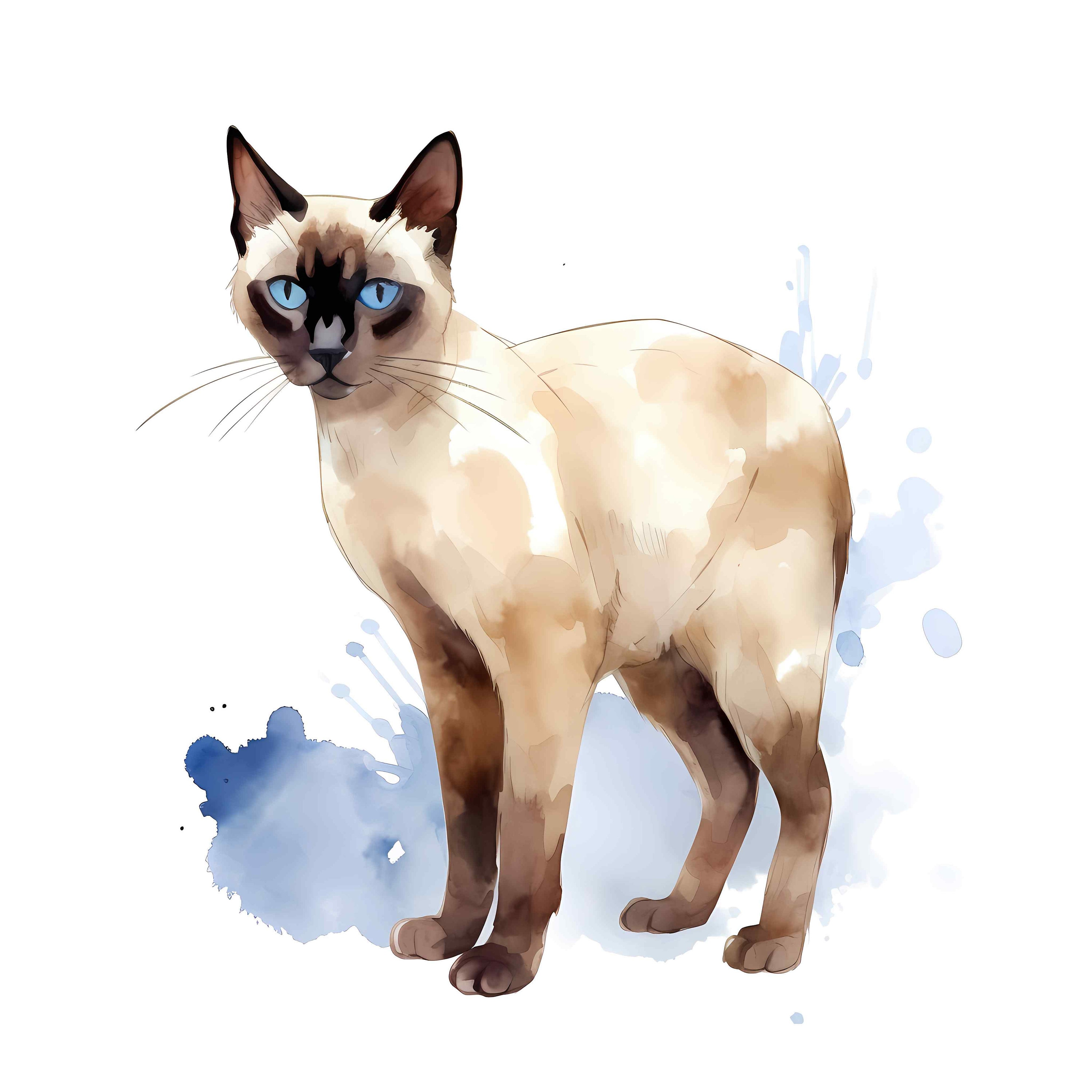 Siamese Cat Clipart Watercolour Cute Siamese Blue Cat Face - Etsy