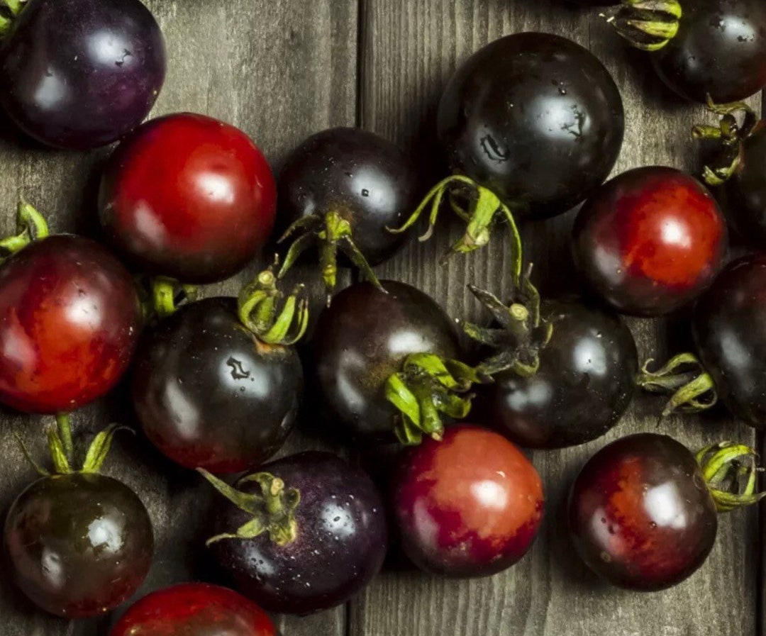 Blue Berries Cherry Tomato - Heirloom - Organic - 20 Seeds - Etsy