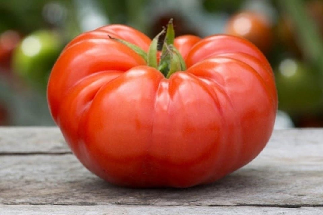 Big Red - Beefsteak Tomato - 20 Seeds - Etsy