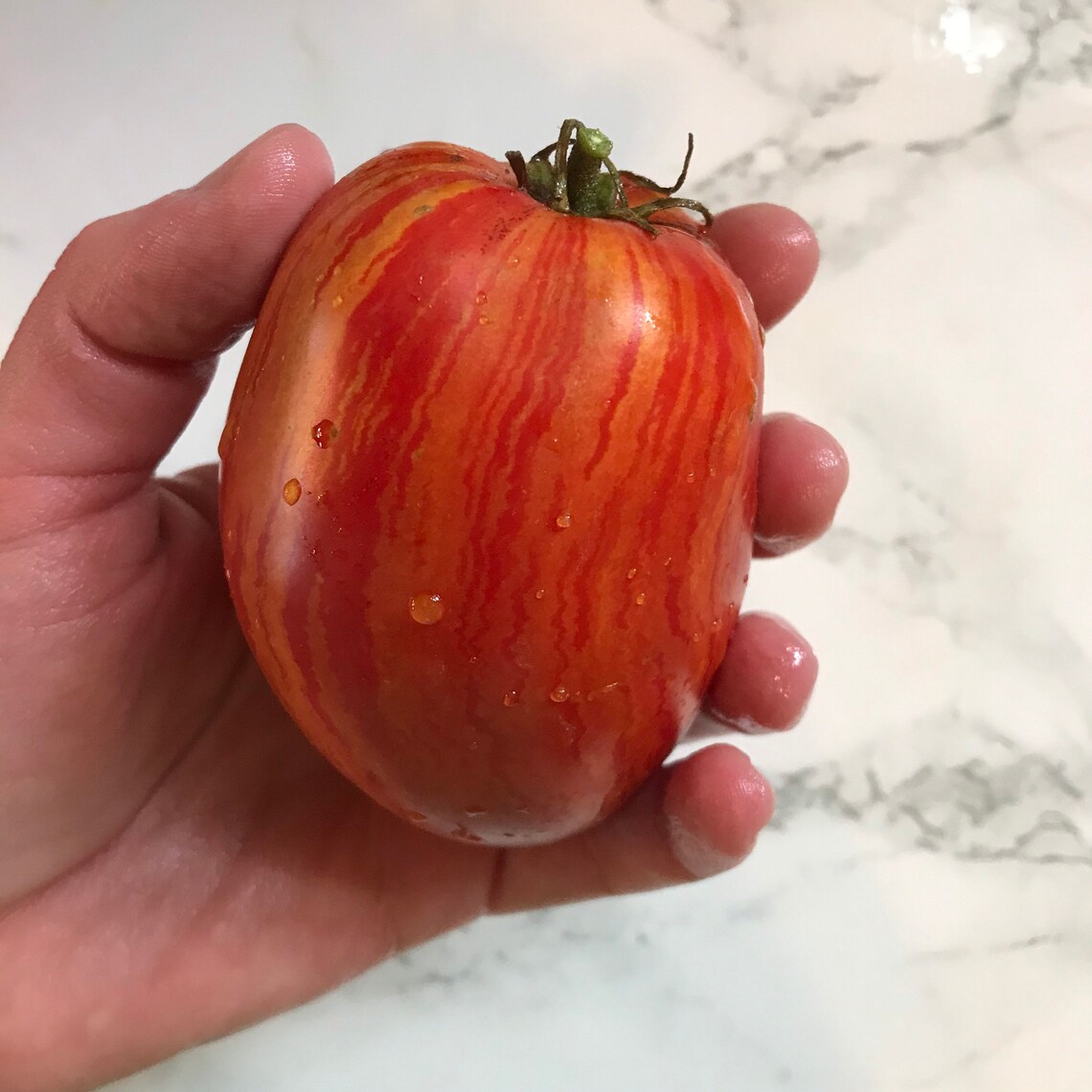 Striped Roman Tomato Organic Heirloom 20 Seeds - Etsy