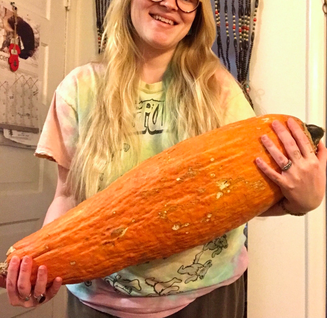 Gete Okosomin Squash Kentucky Squash Heirloom 10 Seeds - Etsy