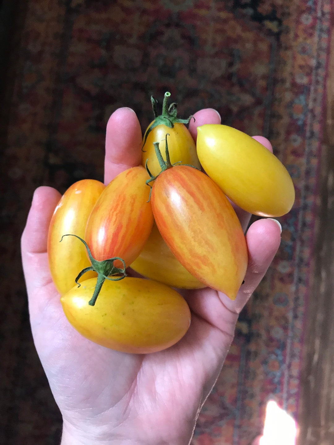 Blush Tiger Striped Plum Tomato - 20 Seeds - Etsy