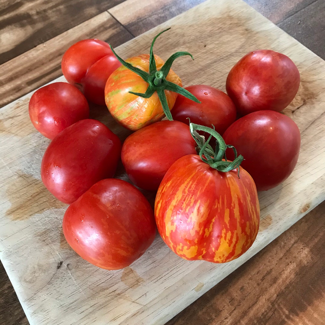 Get Stuffed Tomato - Heirloom - Organic - 20 Seeds - Etsy