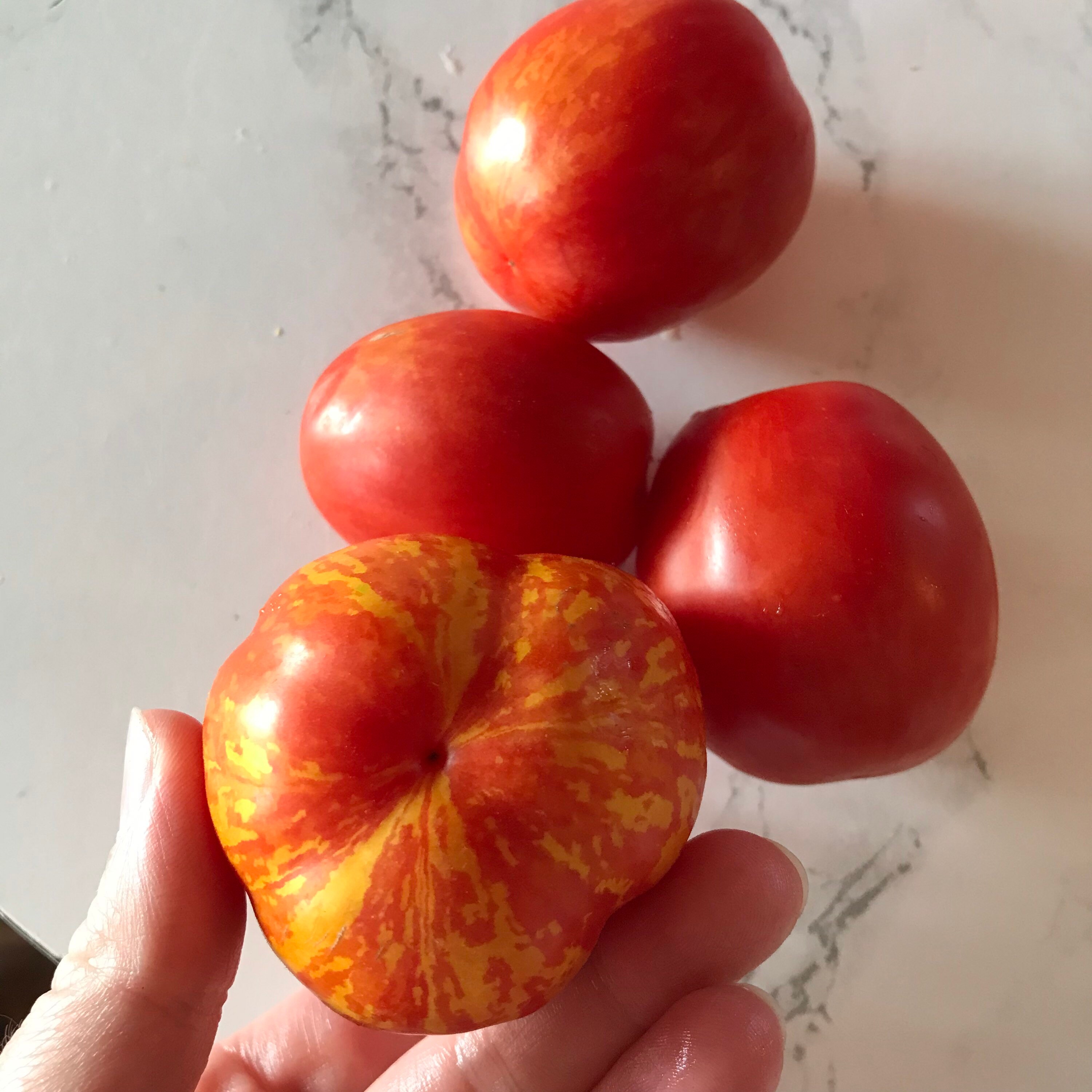 Get Stuffed Tomato - Heirloom - Organic - 20 Seeds - Etsy