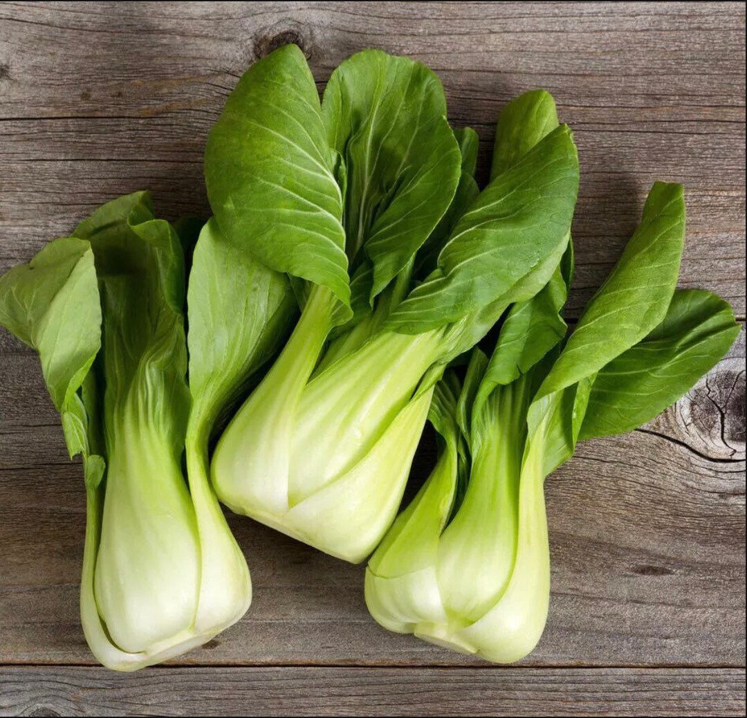 Canton Pak Choi Chinese Cabbage Organic 100 Seeds - Etsy.de