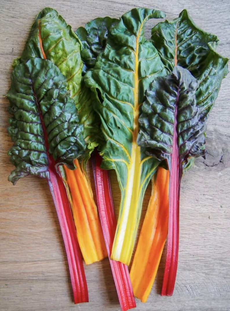 Rainbow Swiss Chard - Organic - 50 Seeds - Etsy