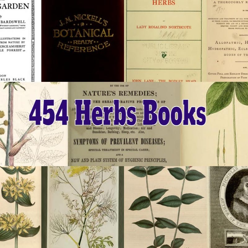 The Hidden Herbs by Annette Ray Pdf - Etsy