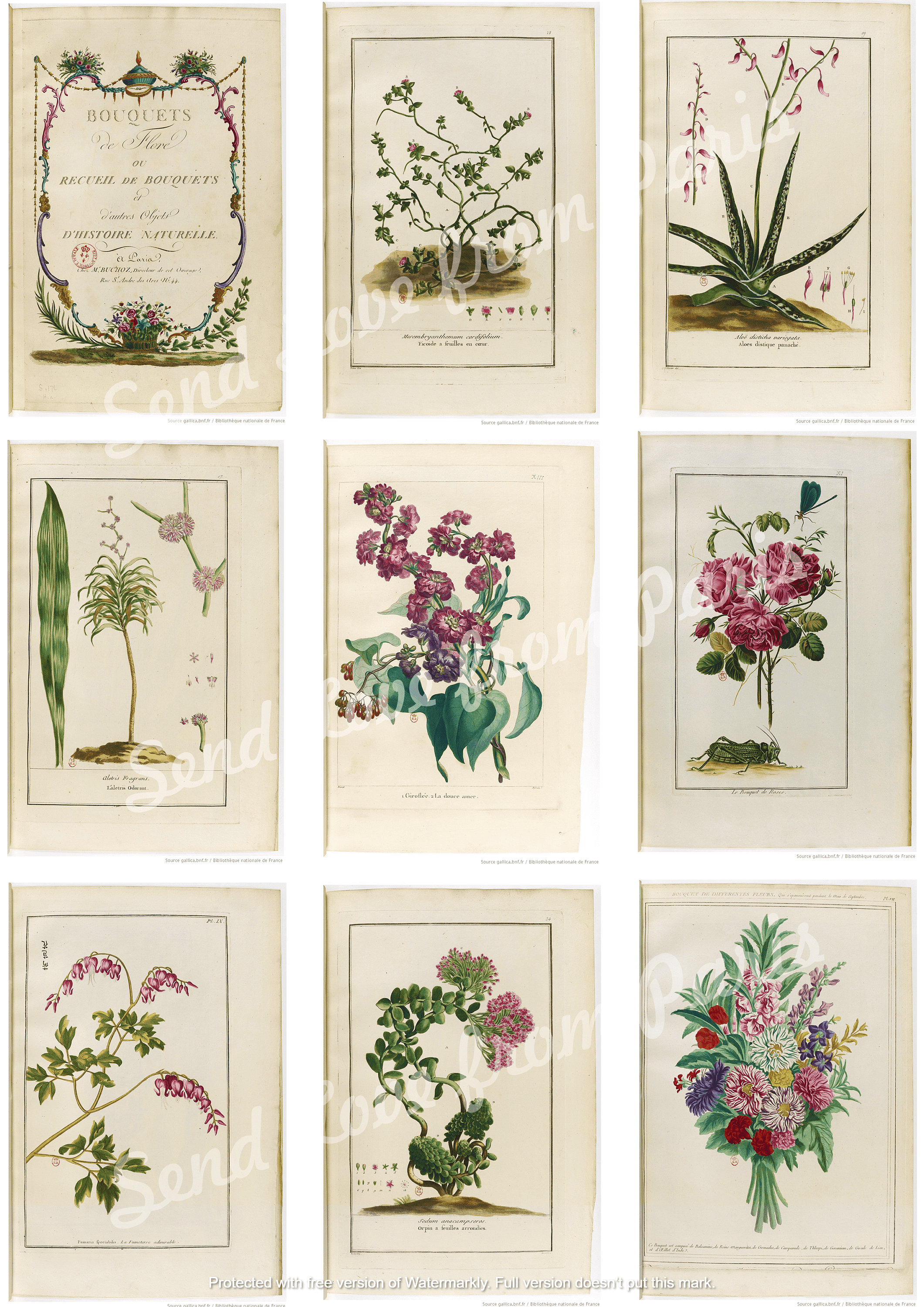 VINTAGE FRENCH Vellum Botanical Ephemera Kit, Junk Journaling Supplies ...