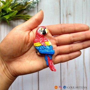 Colombia Fridge Magnets , Colombia Home Decor, Magnets Miniature ...