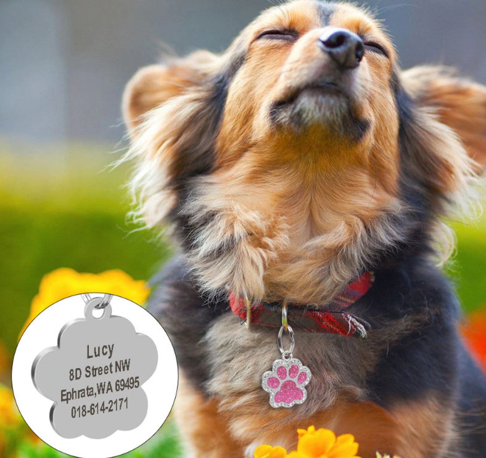 Rhinestonepersonalized Paw Dog Cat Name Tag Custom Engraved | Etsy