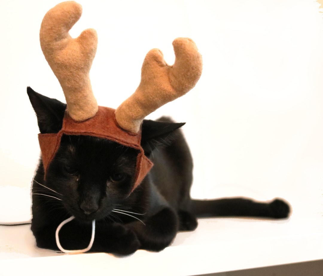 Christmas Reindeer Antlers for Cats and Small Pets - Cat Apparel / Hats ...