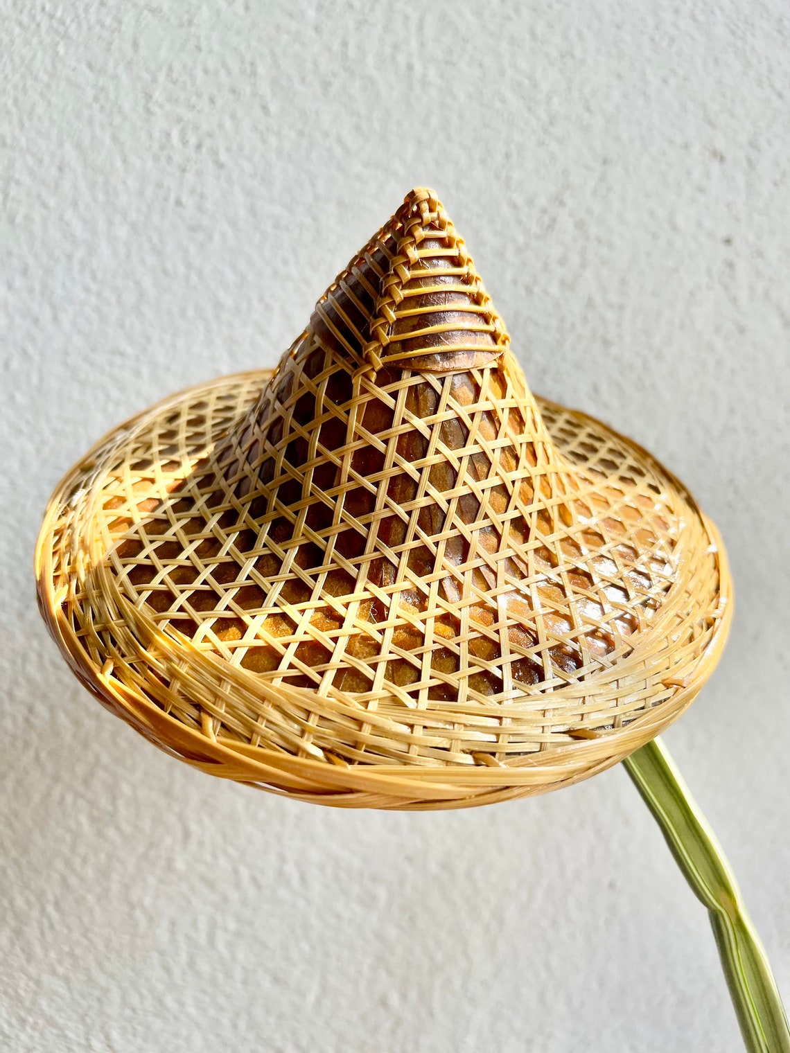 A Small Straw Hat Made of Bamboo and Leaves From is a - Etsy