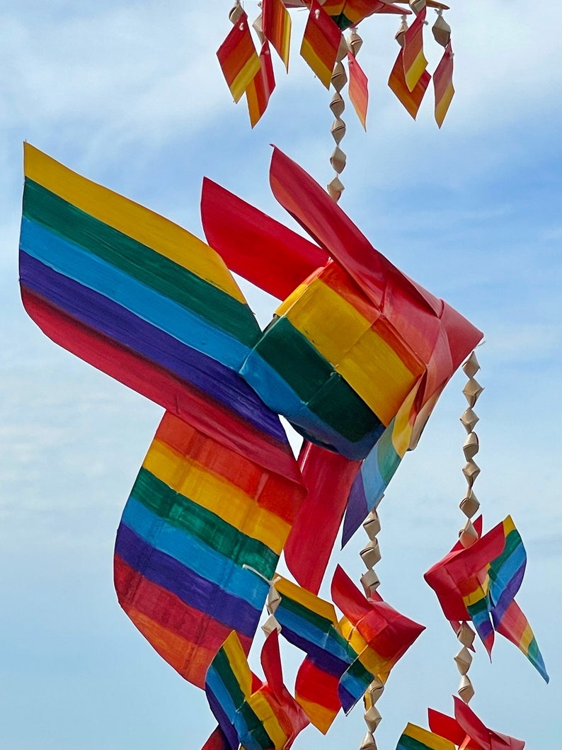 Thai Rainbow Fish Mobile Made From Palm Leaf With Colorful Patterns. - Etsy