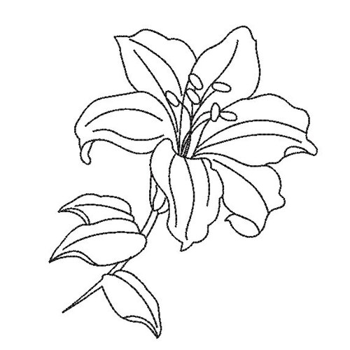 Flower Embroidery Design Floral Line Art Machine Embroidery - Etsy