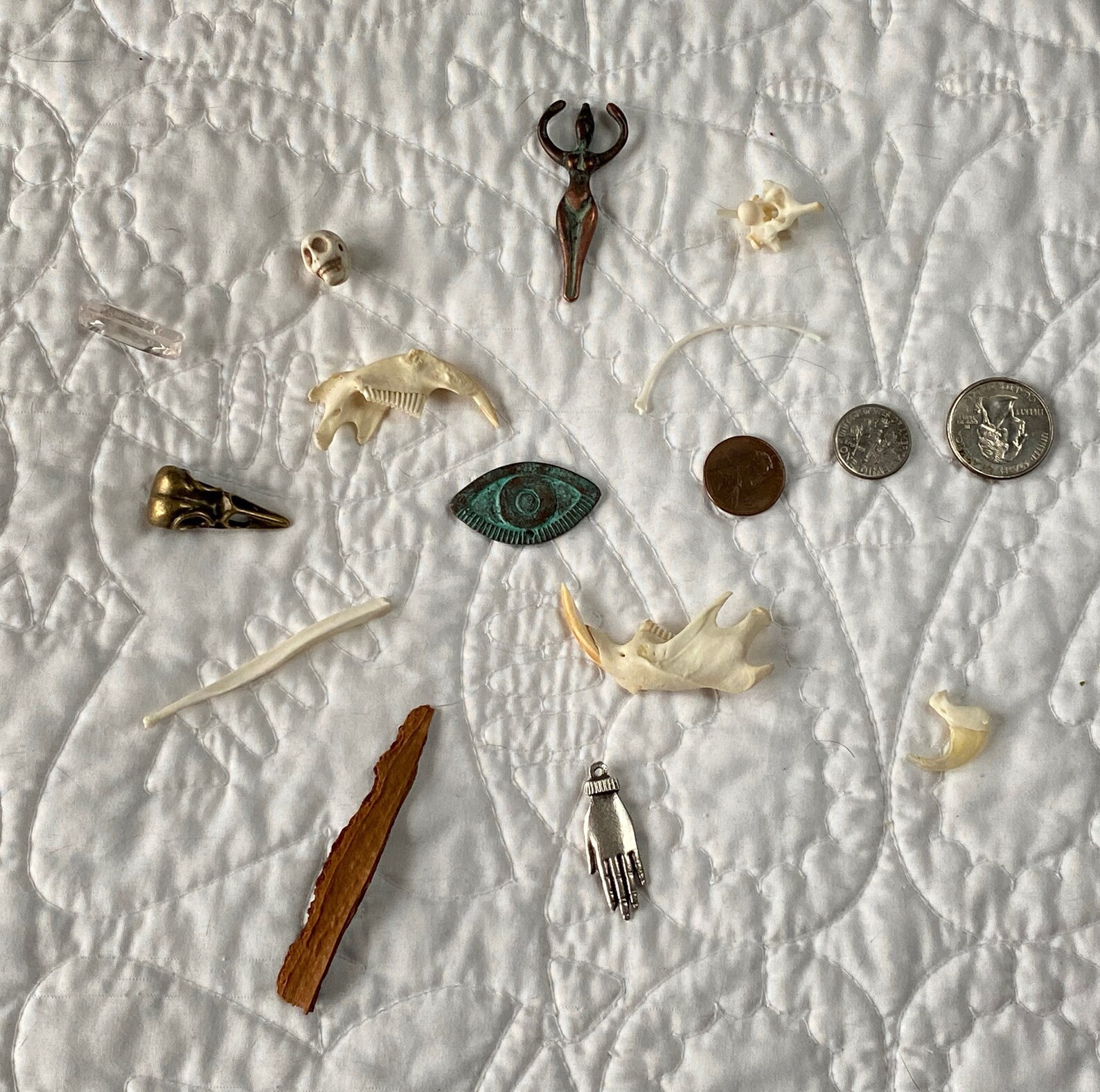 Beginners Bone Reading Set Osteomancy | Etsy Australia