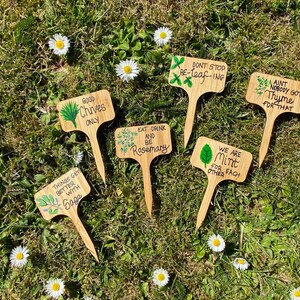 Set of Six Funny Pun Wooden Herb Tags Chives Sage Mint - Etsy