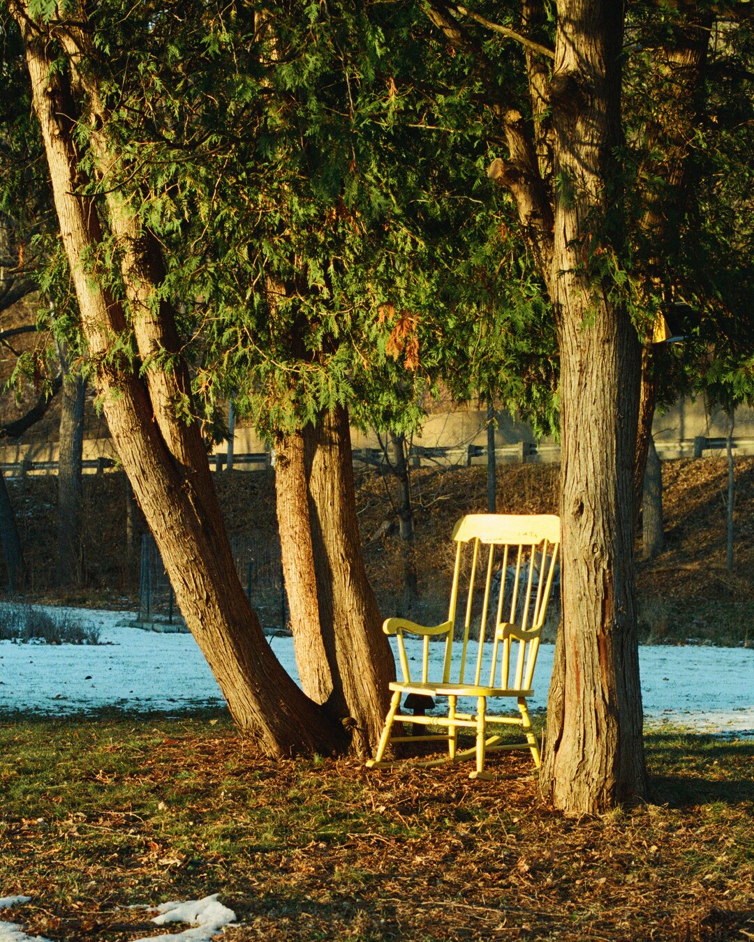 Yellow Rocker Print - Etsy