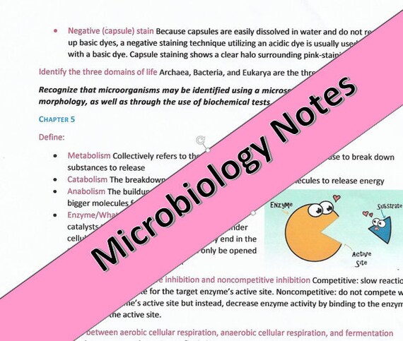 Microbiology ALL Notes From The Semester Etsy