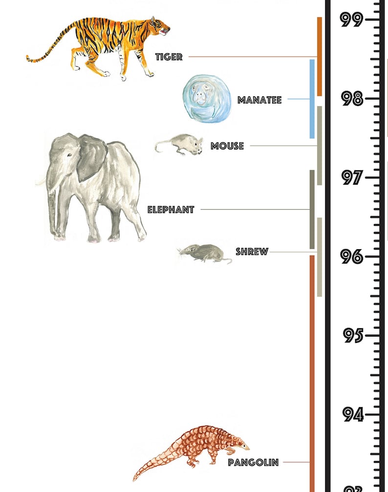 What's Your Temperature A Comparison Chart of Various Animal ...