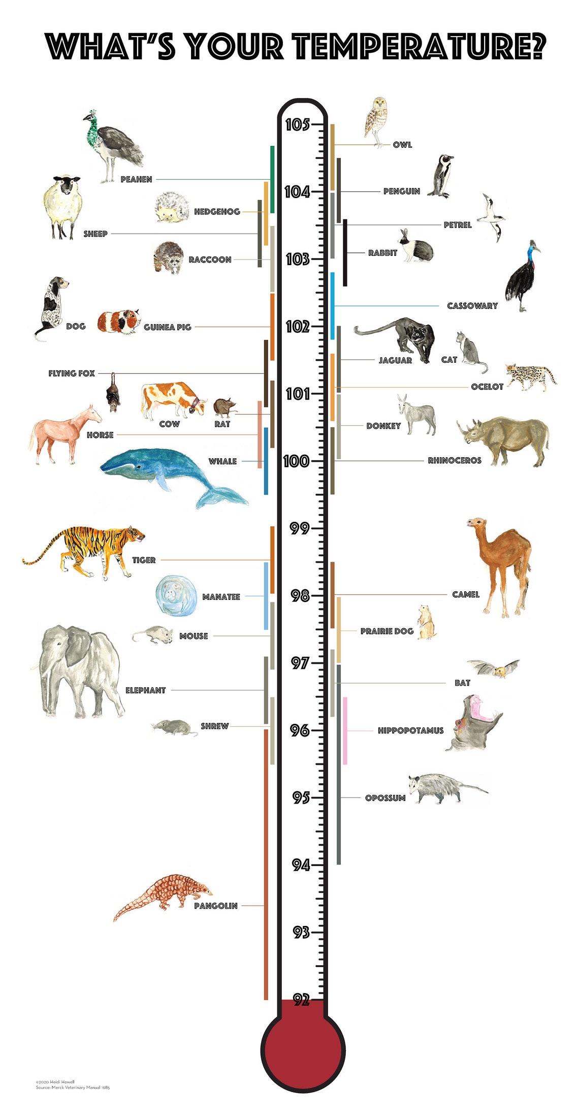 What's Your Temperature A Comparison Chart of Various Animal ...