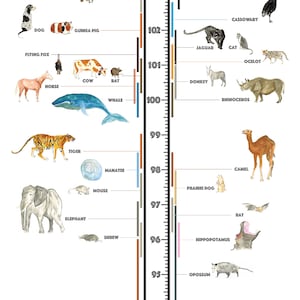 What's Your Temperature A Comparison Chart of Various Animal ...