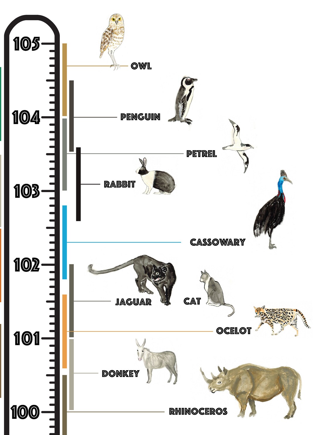 What's Your Temperature A Comparison Chart of Various Animal ...