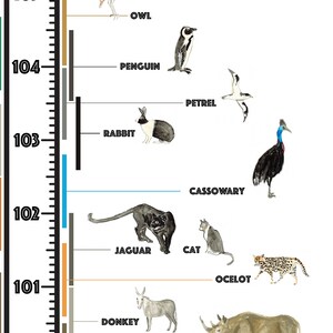 What's Your Temperature A Comparison Chart of Various Animal ...