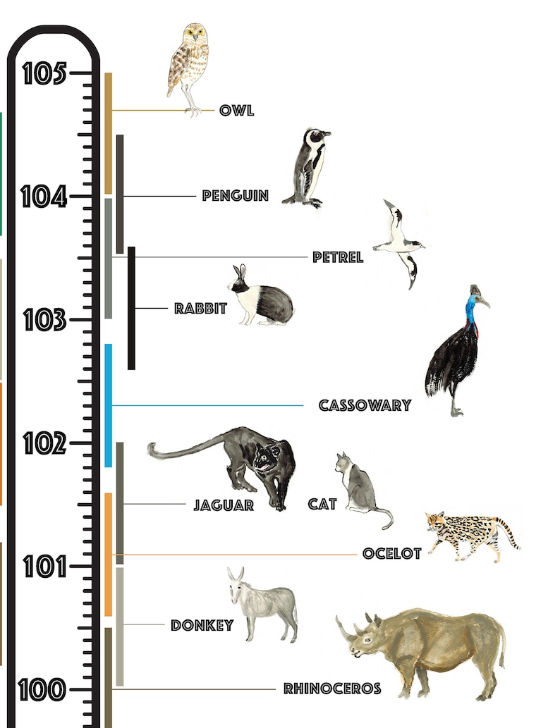 What's Your Temperature A Comparison Chart of Various Animal ...