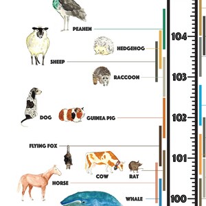 What's Your Temperature A Comparison Chart of Various Animal ...