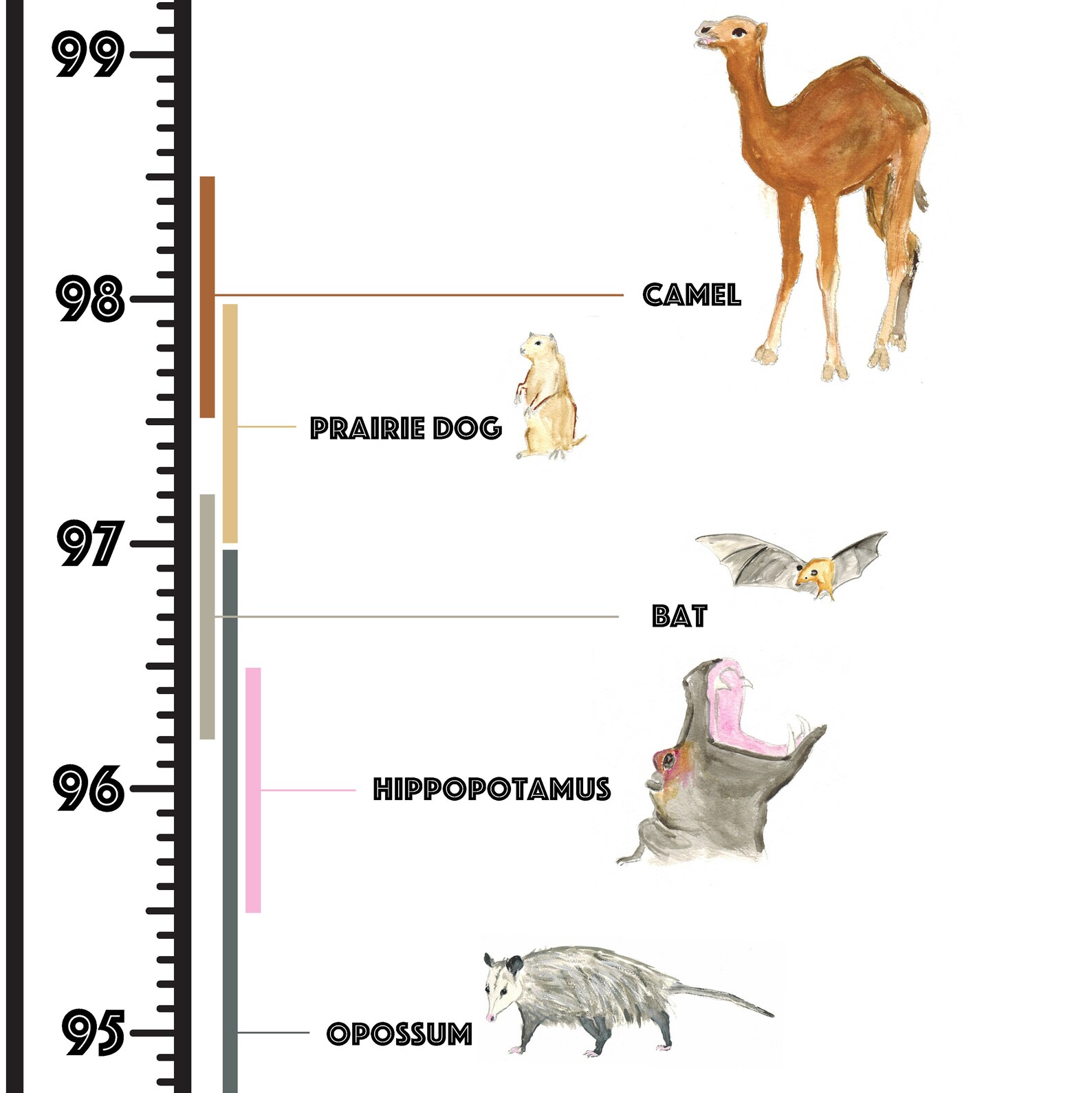 What's Your Temperature A Comparison Chart of Various Animal ...