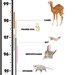 What's Your Temperature A Comparison Chart of Various Animal ...