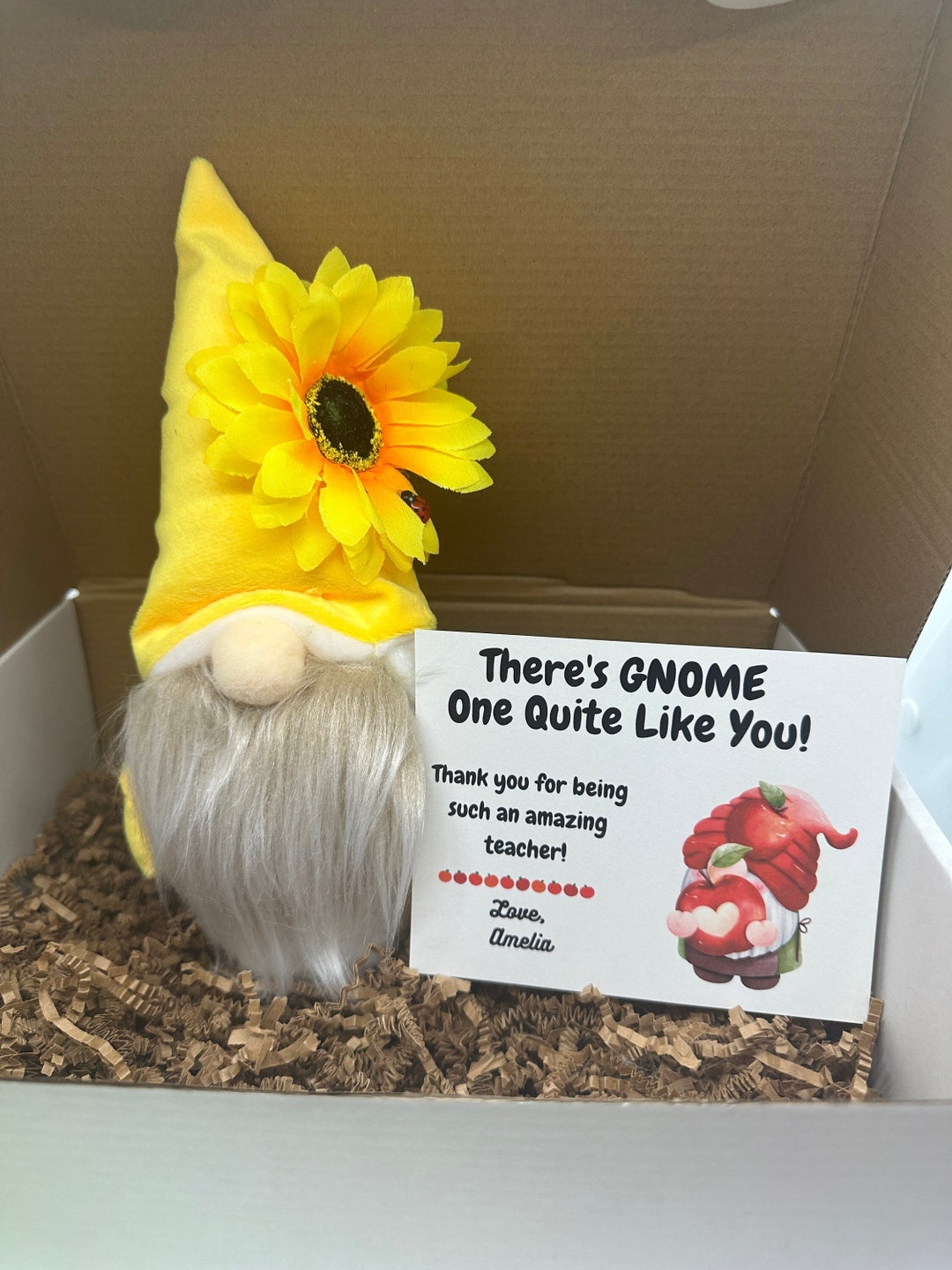 Teacher Gnome, School Gnomes, Back to School Gnome, Teacher ...