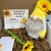 Teacher Gnome, School Gnomes, Back to School Gnome, Teacher ...
