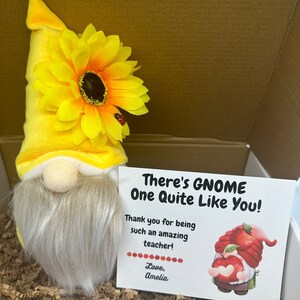 Teacher Gnome, School Gnomes, Back to School Gnome, Teacher ...