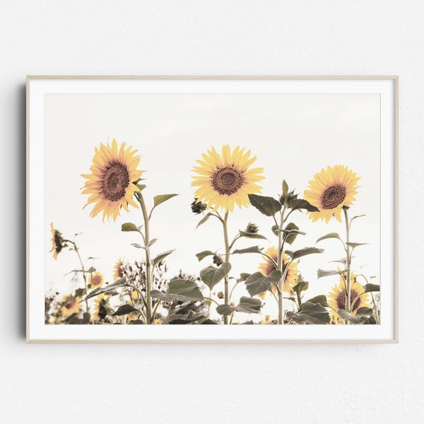 Sunflower Poster - Etsy