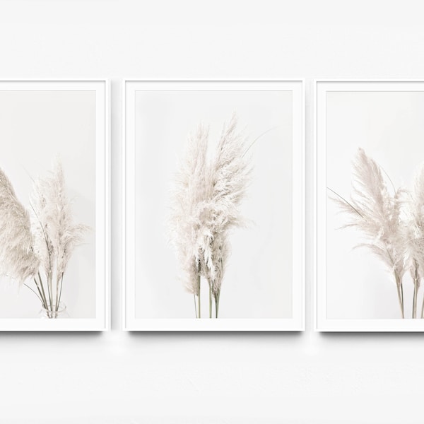 Pampas Grass Decor - Etsy