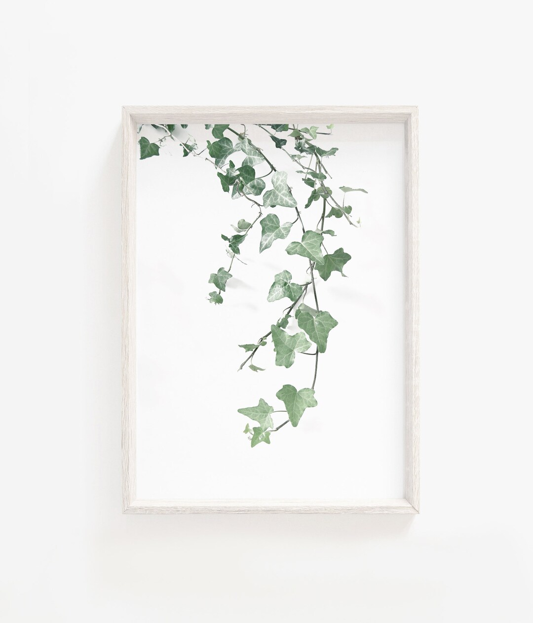 Ivy Print,green Leaves Print, Botanical Wall Art,ivy Poster,ivy Plant ...
