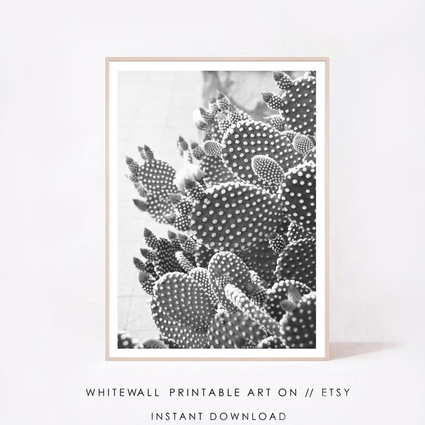 Black and White Succulents Art - Etsy