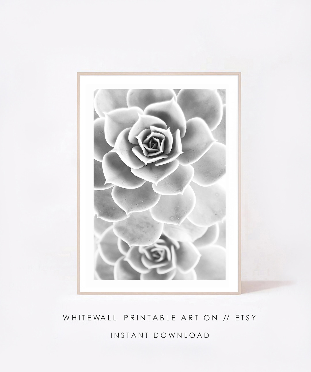 Succulent Print, Botanical Printable Wall Art, Boho Plant Decor, Modern ...