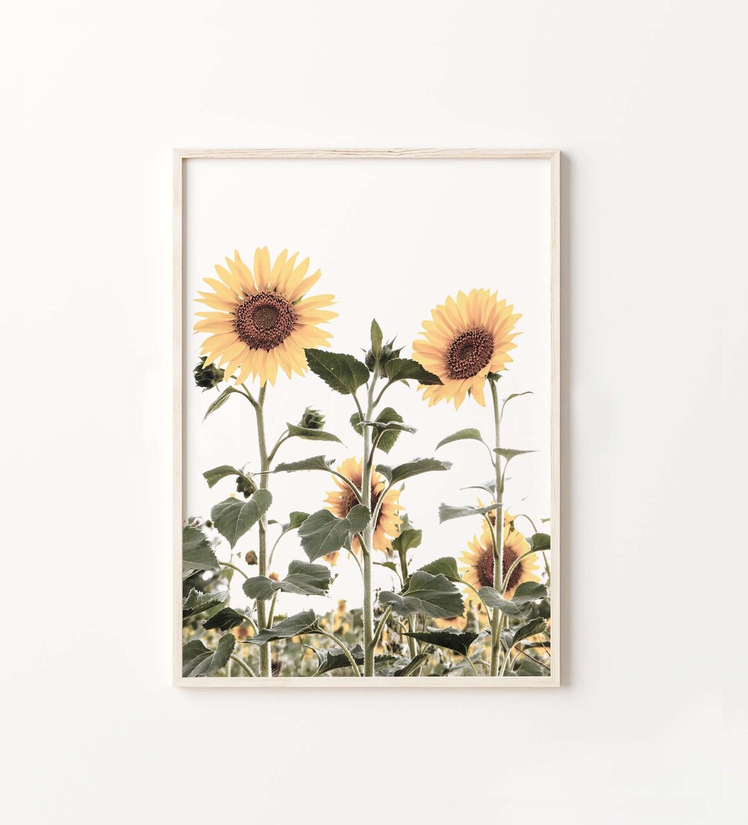 Sunflower Poster,sunflower Print,farmhouse Print,sunflower Wall Art ...