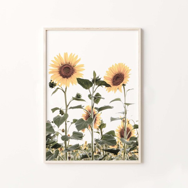 Sunflower Poster - Etsy