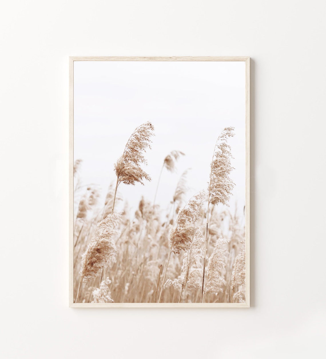 Set of 3 Printspampas Grass Decor Printdried Grass Print Set - Etsy