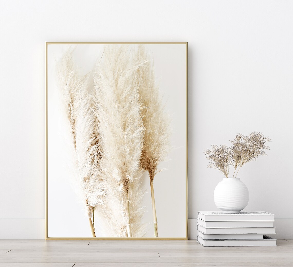Estampa neutra de capim-dos-pampas, foto botânica moderna (download ...