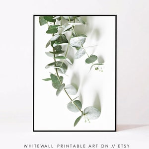Eucalyptus Printeucalyptus Posteraustralian Eucalyptus | Etsy