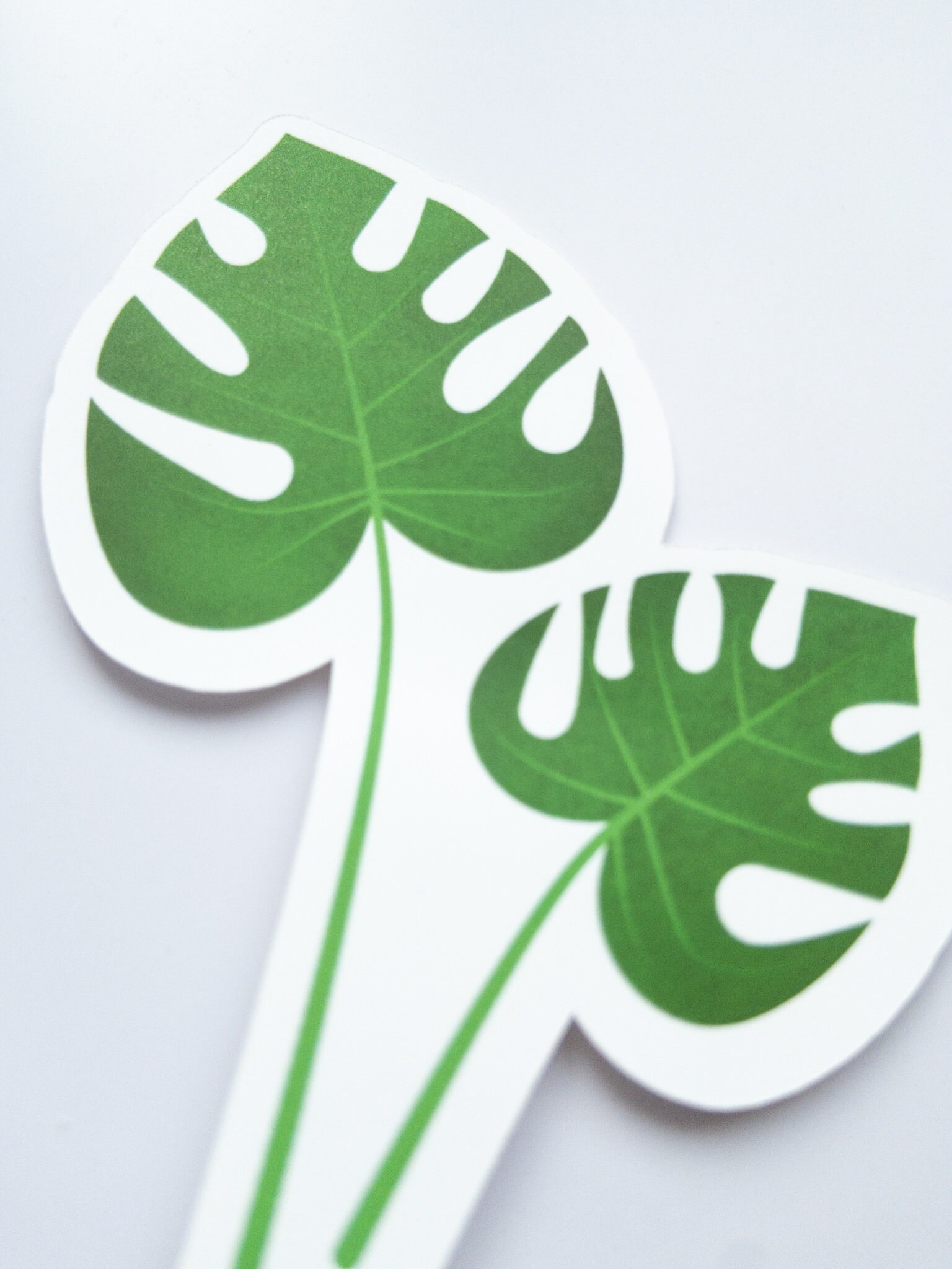 Monstera Leaf Sticker Plant Sticker Birthday Gift for Plant - Etsy