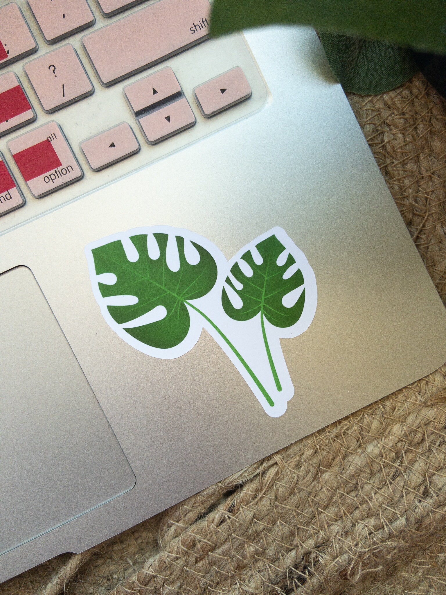 Monstera Leaf Sticker Plant Sticker Birthday Gift for Plant - Etsy