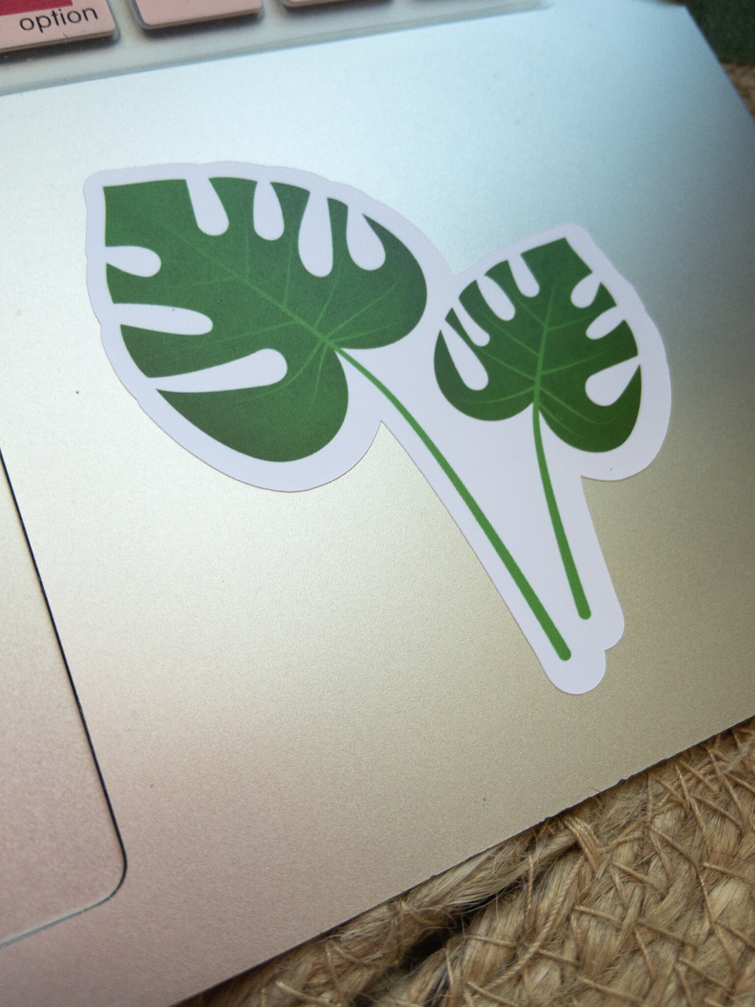Monstera Leaf Sticker Plant Sticker Birthday Gift for Plant - Etsy