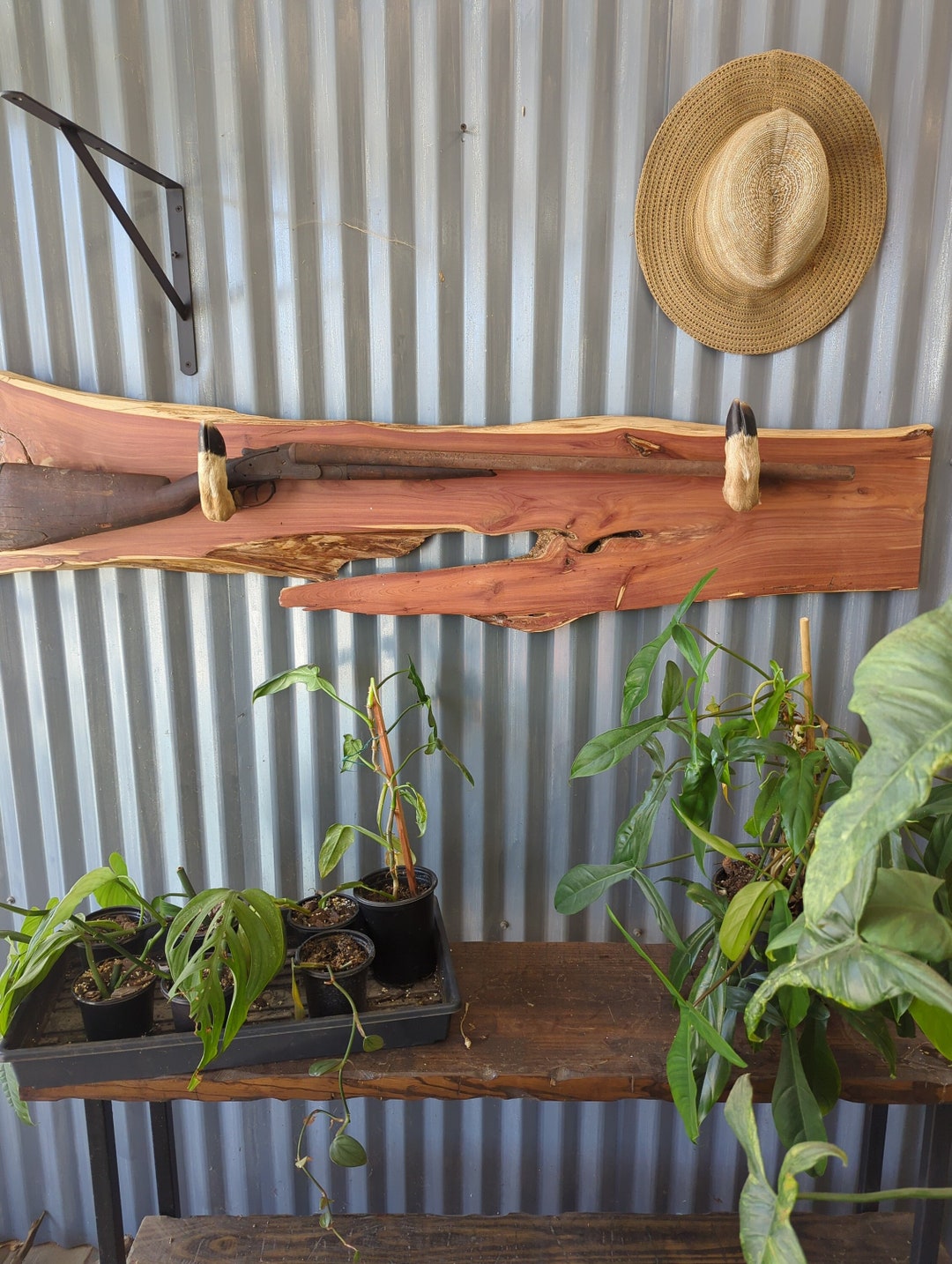 Deer Hoof Gun Rack Rustic Finished /foot Feet / Satin FINISH / Lever ...